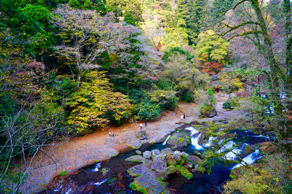 Kikuchi Valley Visitor Center